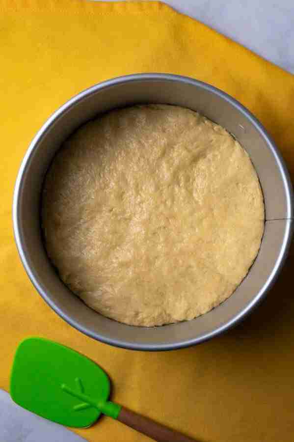 Bee Sting Cake Recipe: German Bienenstich Recipe!