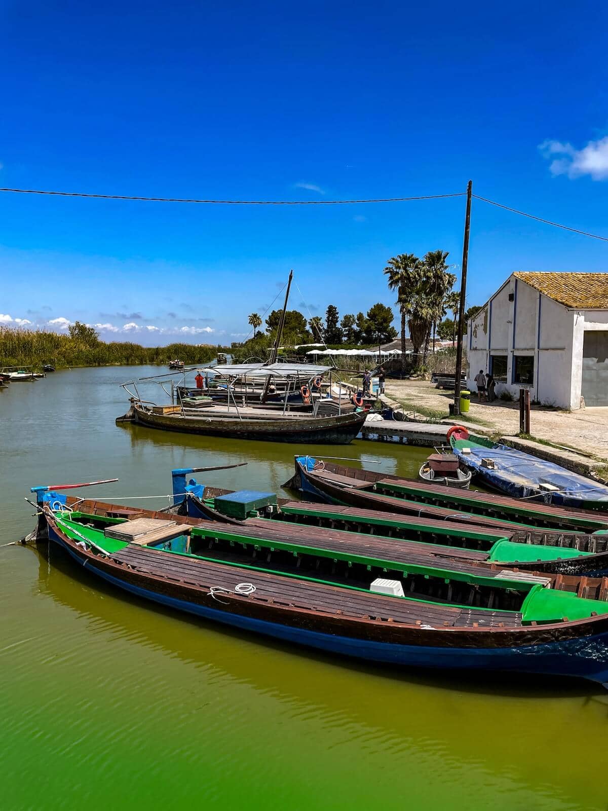 El Palmar Valencia: Discover the Home of Paella