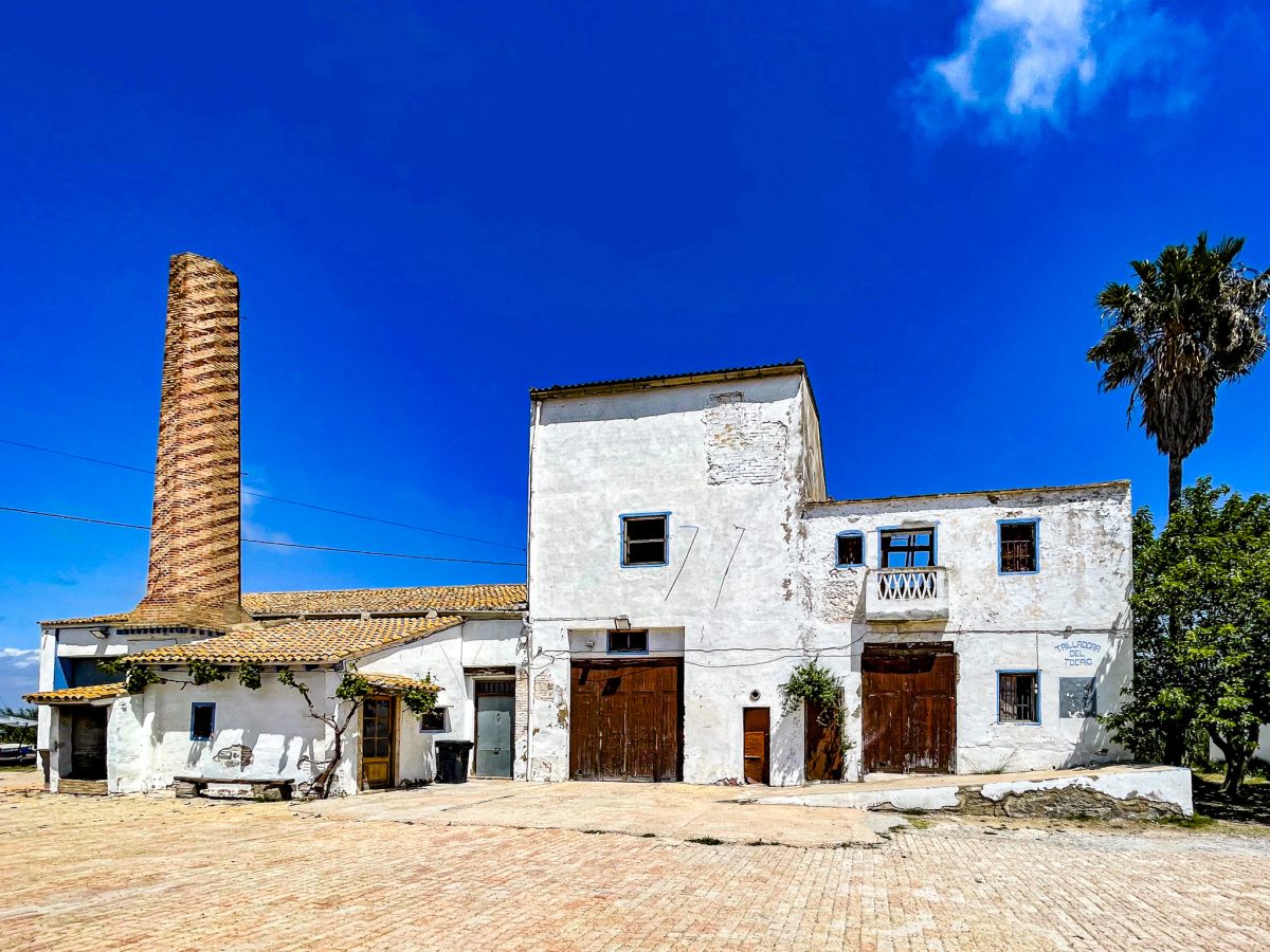 El Palmar Valencia Paella: Discover the Home of Paella