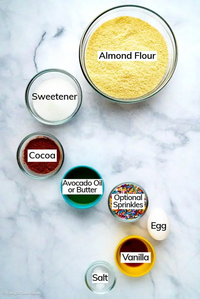 Keto Chocolate Pie Crust Recipe (Sugar Free Chocolate Crust)